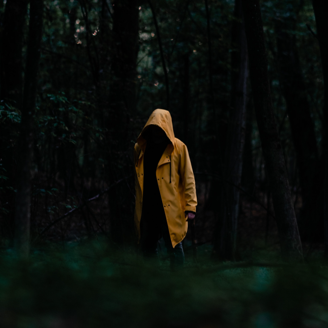 How to Write a Horror Story: A Step by Step Guide | Fictionary