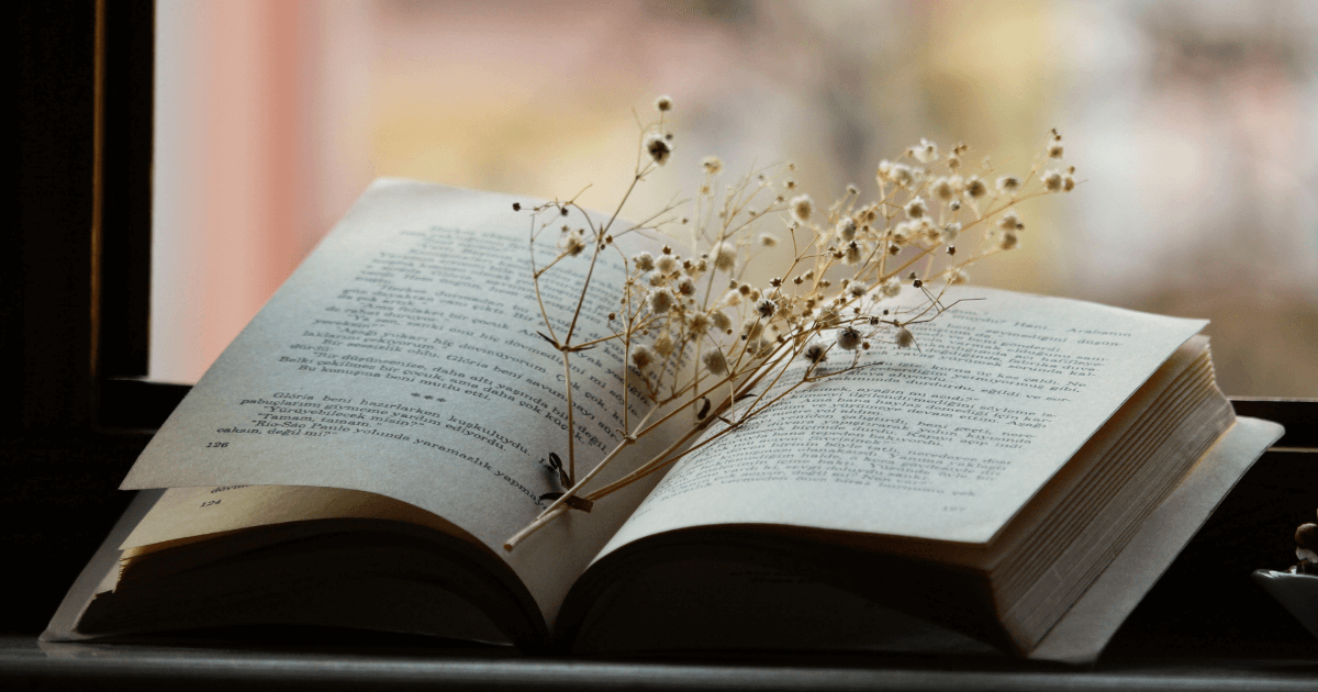 How to Write Poetry: 13 Rules and Tips | Fictionary